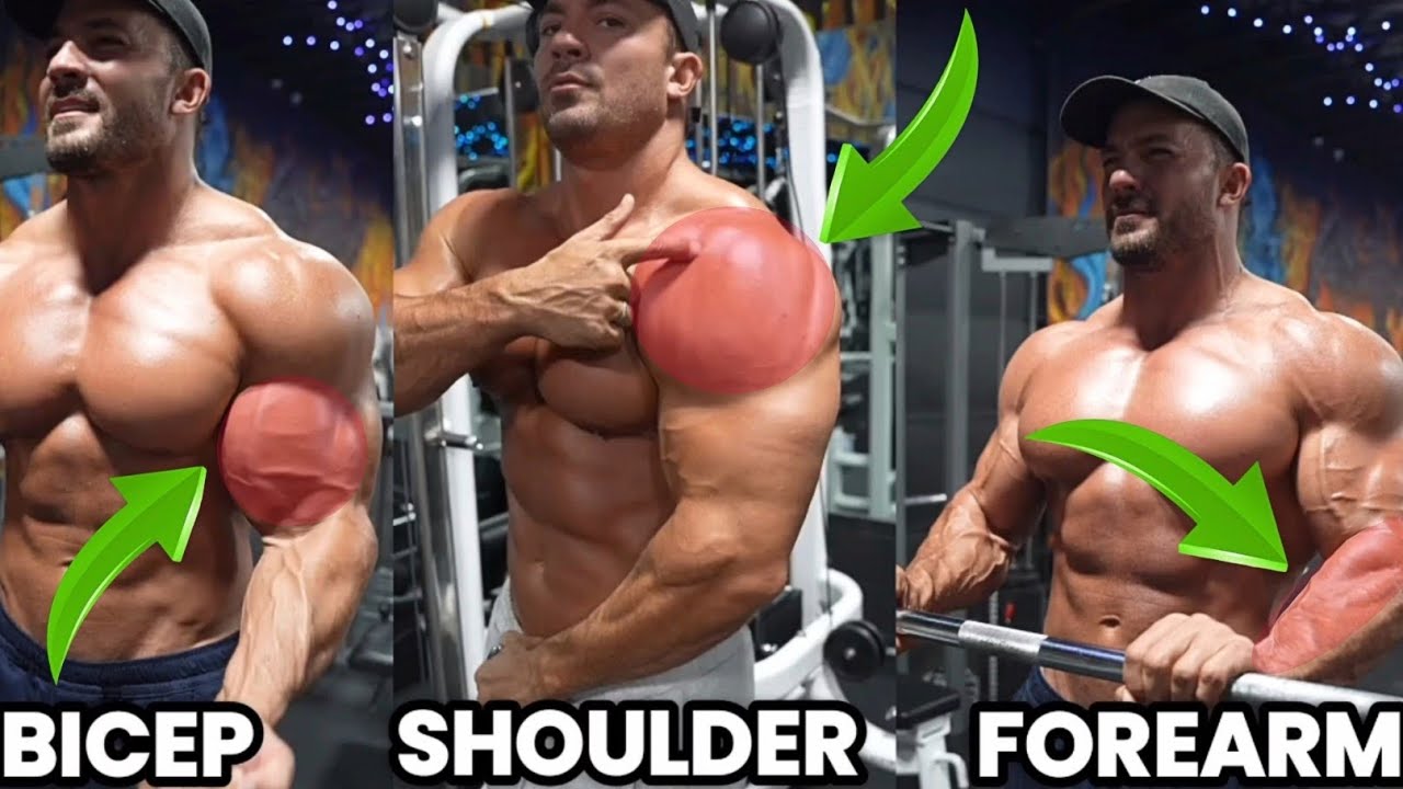 Bicep, Forearm And Shoulder Exercises To Build Big Muscle | Best ...