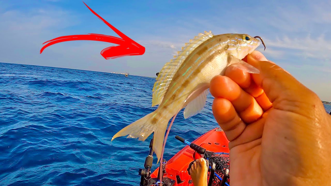 The SECRET to Catching Bigger Fish (Simple Offshore kayak fishing tip ...