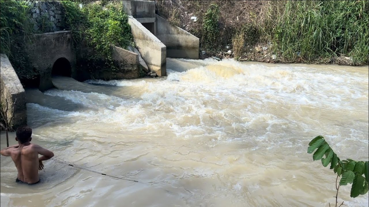 Memancing dan menjaring ikan di sungai yang deras, mendapat hasil yang ...