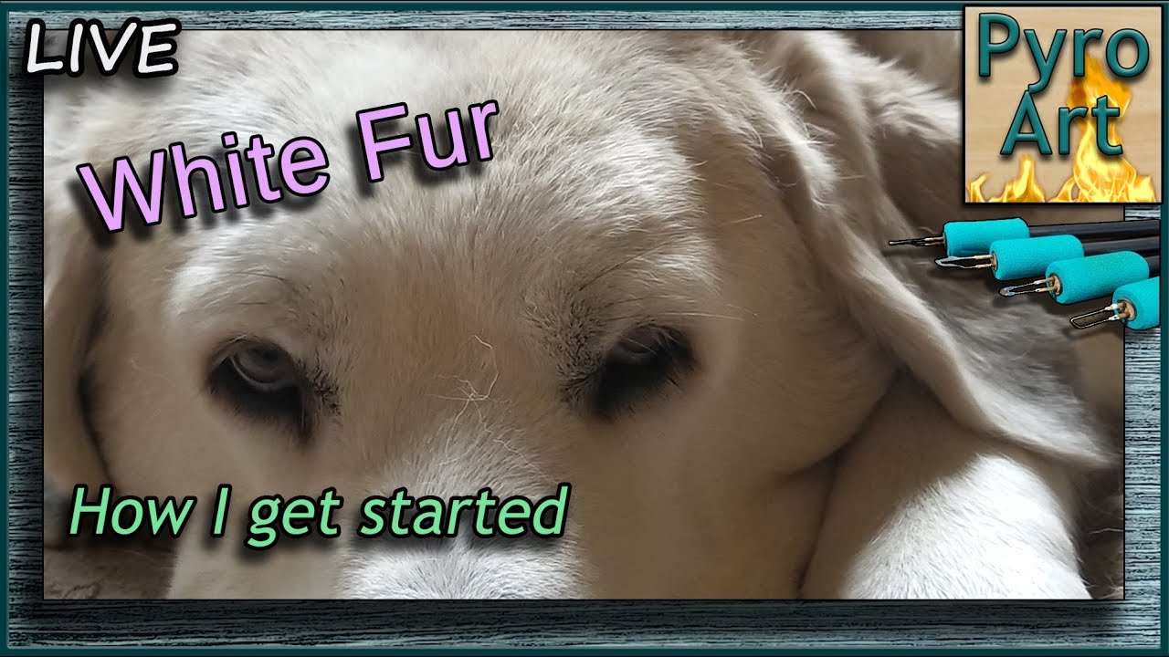 Pyrography: Wood Burning white thick dog Fur // How I start my layout to make burning easier 🔥 ...