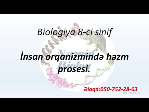 İnsan orqanizmində həzm prosesi.Biologiya 8-ci sinif yeni dərslik 4-cü fəsil mövzu 1