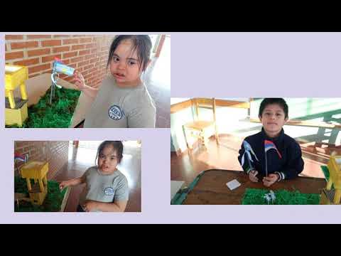 PROYECTO MI ESCUELA- AULA SATÉLITEESCUELA43 - YouTube