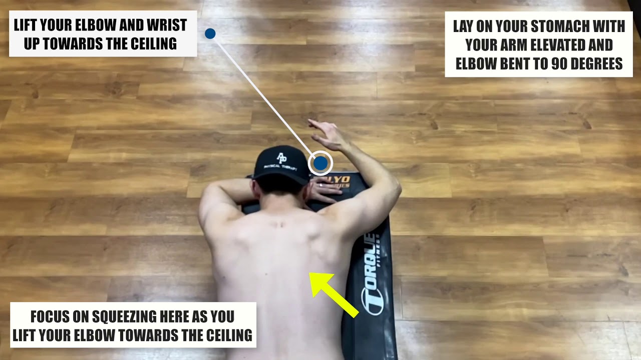 Lower Trapezius Prone Progression: Short Lever Modified Prone Y - YouTube