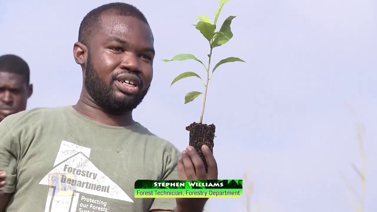 Trees for Life - YouTube