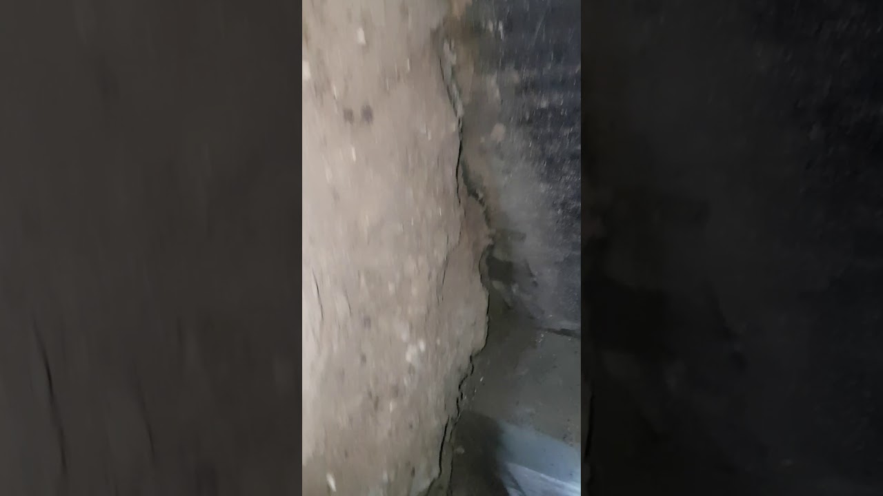 Termites under a pool! - YouTube