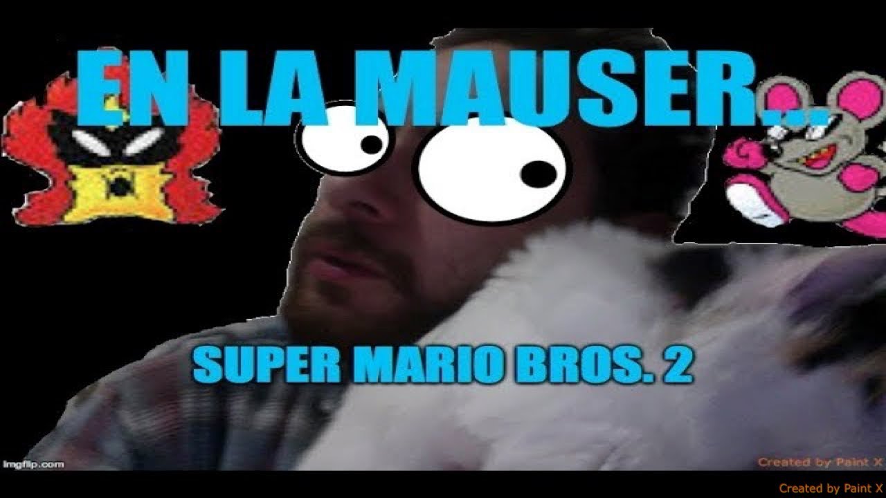 En la Mauser... Super Mario Bros. 2 (Parte 2) - YouTube