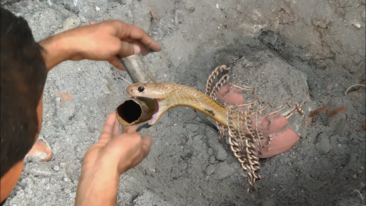 Top Treasures Found in the Underground // Treasure Hunt with Metal ...