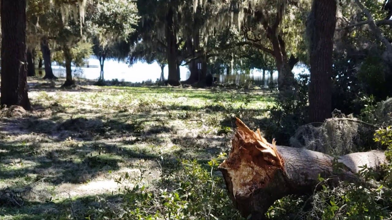 After Hurricane Ian | Lake Baldwin Dog Park - YouTube