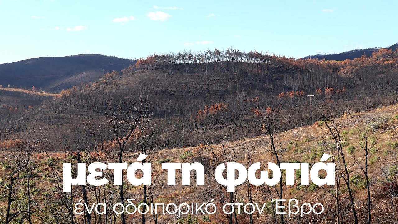 Μετά τη φωτιά: Διασχίζοντας τα καμμένα δάση του Νότιου Έβρου για μία ...