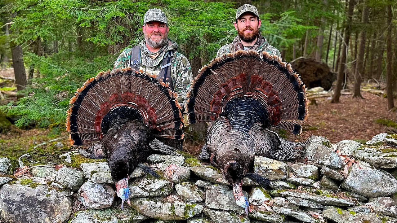 VERMONT DOUBLE!!! - (Turkey Hunting w/The Untamed and Just Hunt Club ...