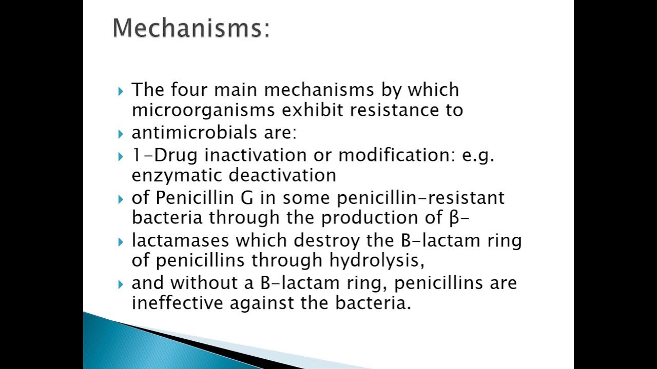 lec8 part 2 - YouTube