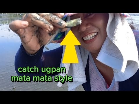 catch UGPAN mata mata style,makarami kaya kami? - YouTube