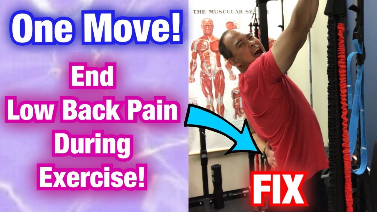How to End Low Back During Exercise! One Easy Movement! | Dr Wil & Dr K ...
