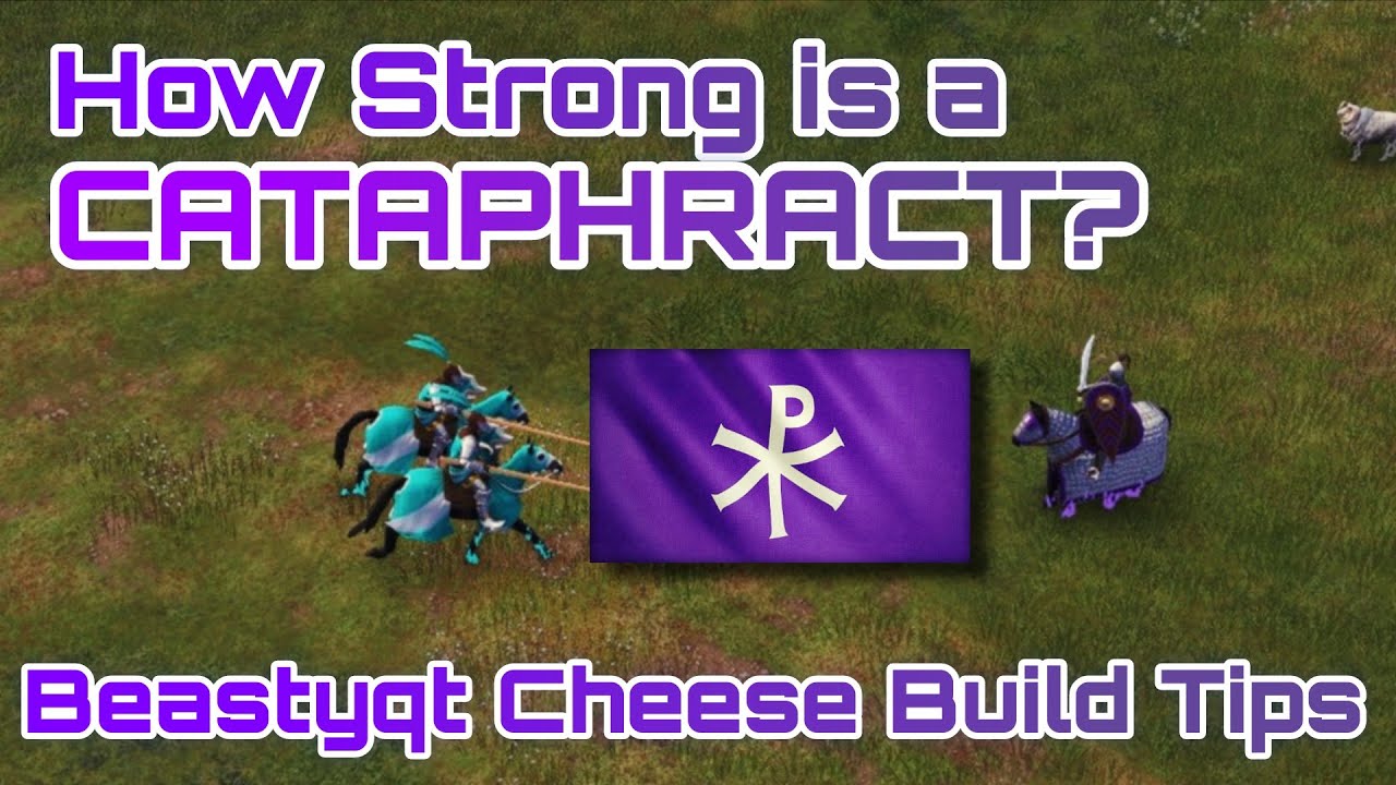 How Strong Are The Cataphracts? | Beastyqt's Cheese Build Interactions ...