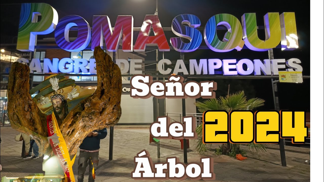 Fiestas Señor del Árbol 2024 Pomasqui - YouTube