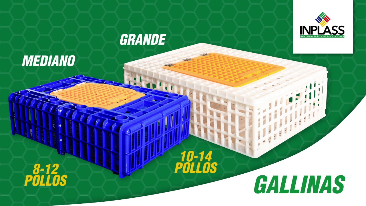Jaulas o guacales plásticos para el transporte de pollos, pavos, ideal ...