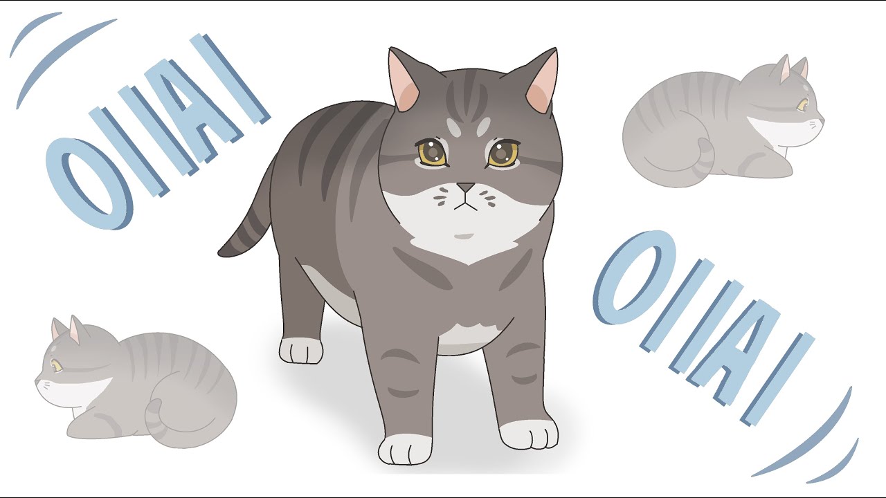 OIIAI cat animation (SPINNING CAT) - YouTube