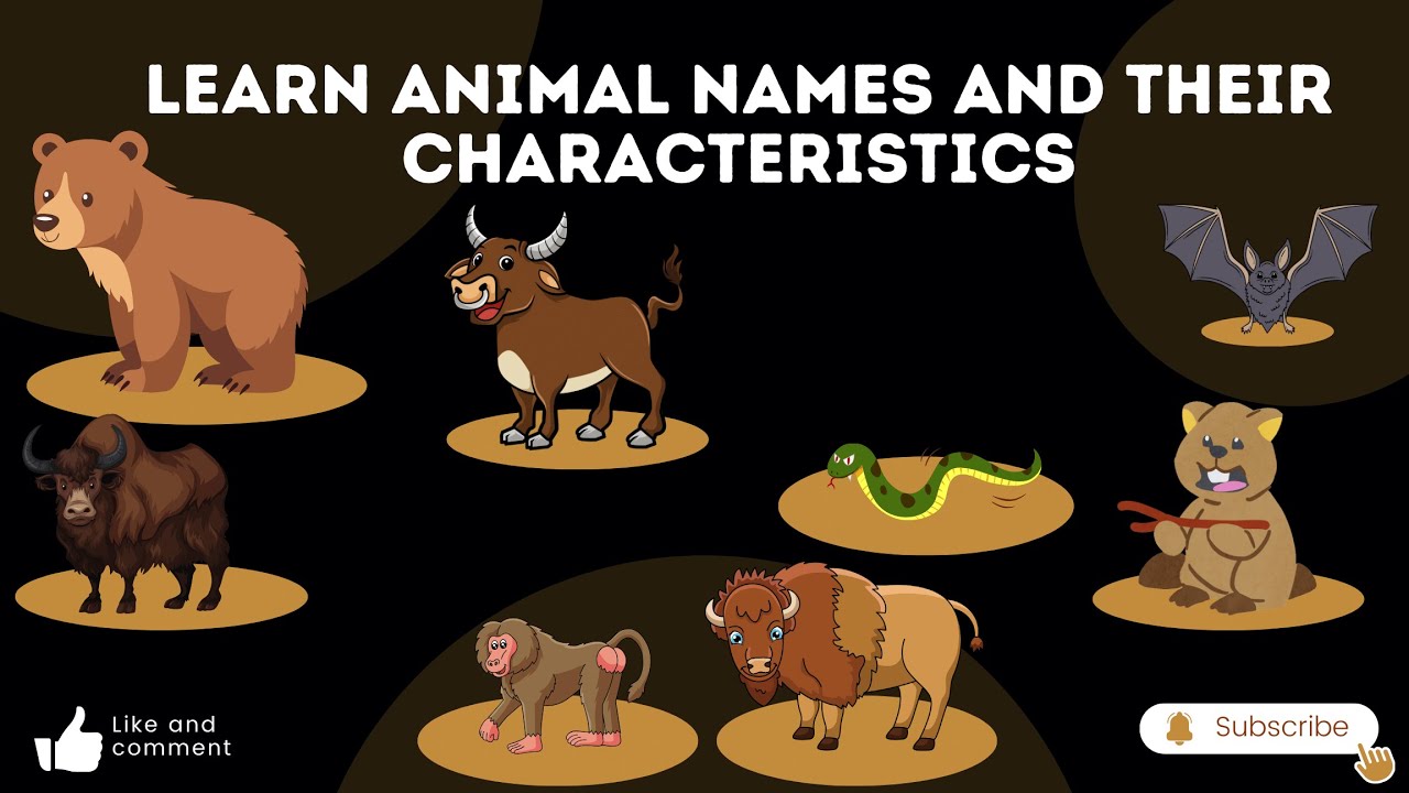 Wild Animals life and their Characteristics - YouTube