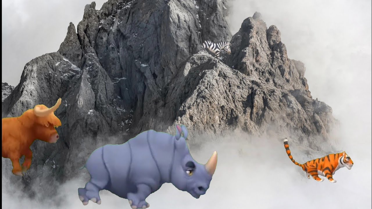 animal stampede running stampede animals - YouTube