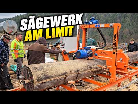 50-cm-Stämme fürs Rundstammhaus – unser Sägewerk am Limit