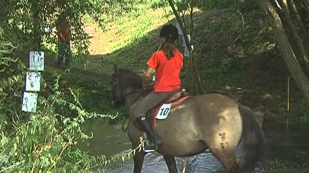 A Kerba.hu bemutatja: A Hucul ló - YouTube