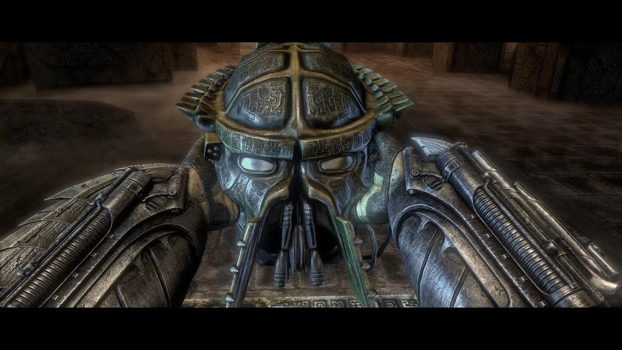 Xenomorph Frogs Youtube