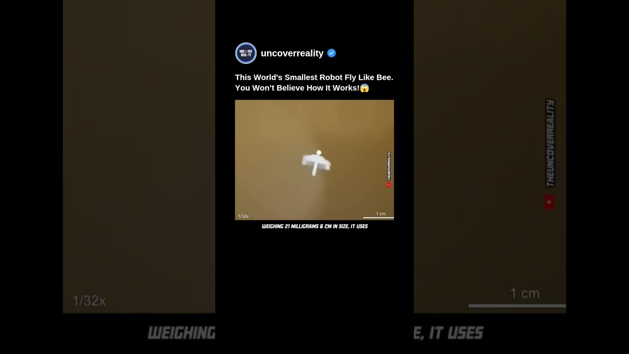 This World's Smallest Robot Fly Like Bee. You Won't Believe How It ...