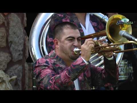 Banda Azul Tequila \