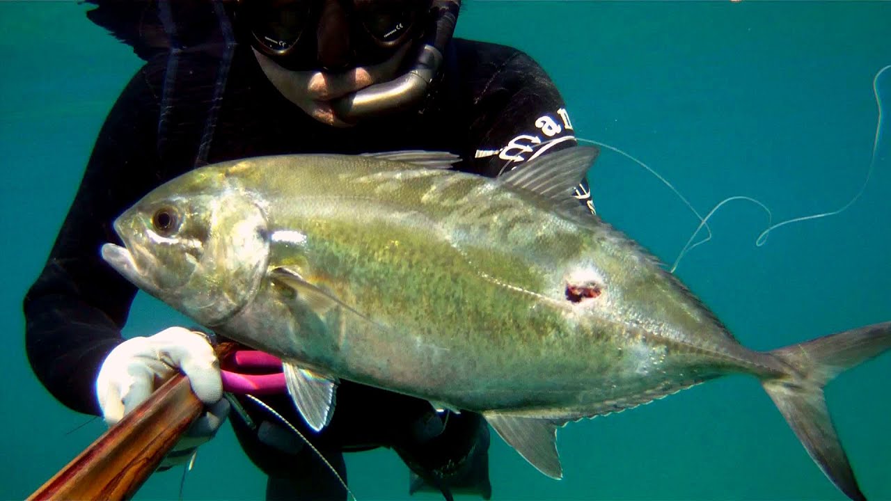 Pescasub: Carango unchained - YouTube