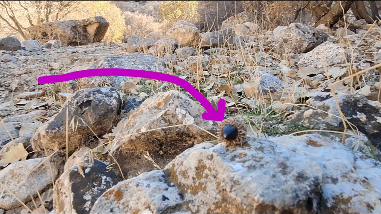Nomadic lifestyle of iran chaver - YouTube