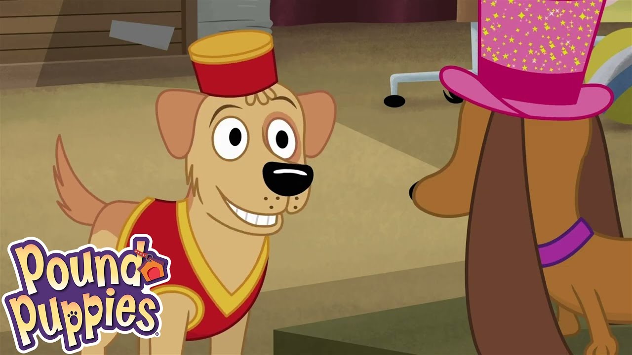 Pound Puppies | Dog on a Wire | COMPILATION | Season 1 | Pet Cartoon ...
