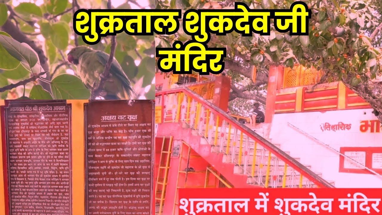 Shukratal temple-शुक्रताल 5000 साल पूर्व राजा परीक्षित को श्राप से ...