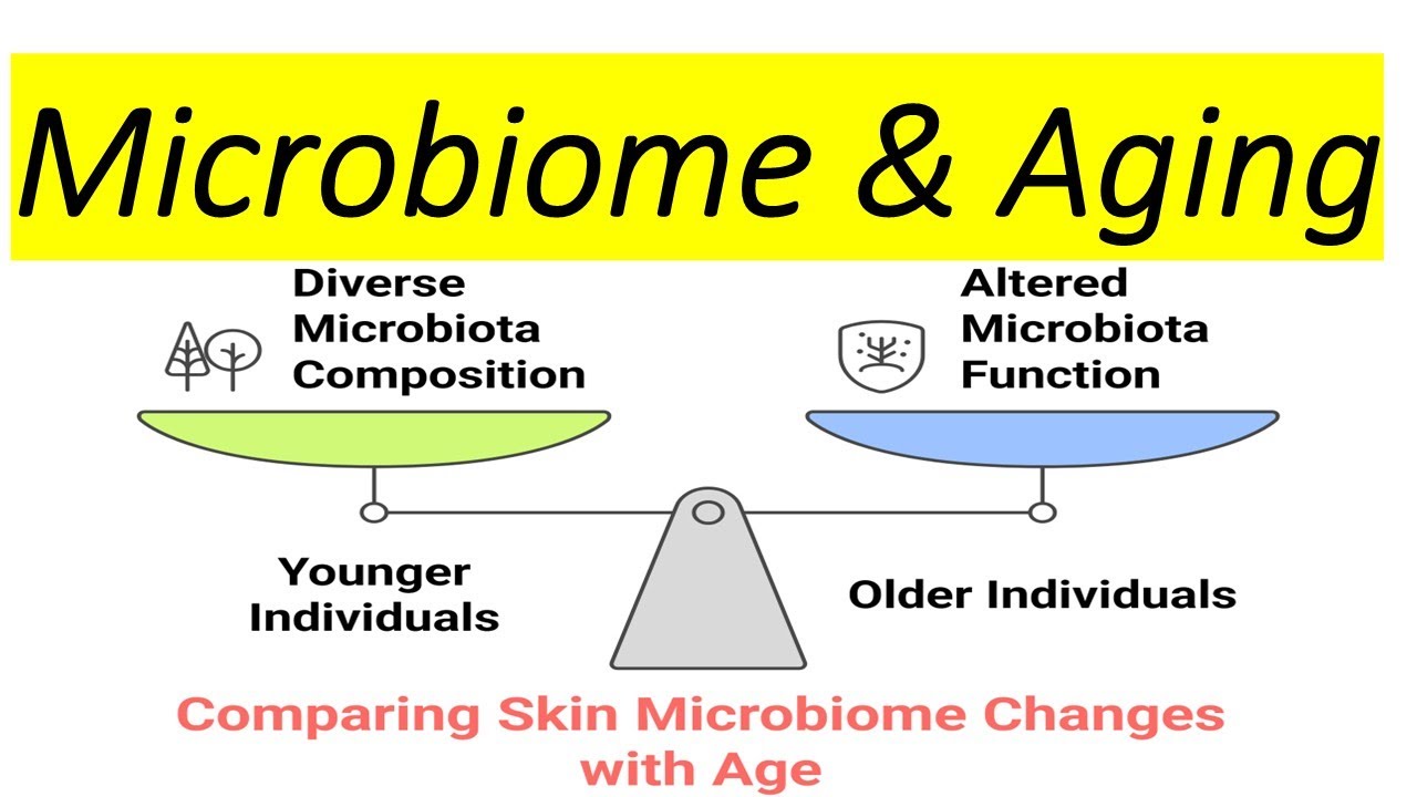 Dr Naglaa Elmongy//"Microbiome & Aging: The Hidden Link to Youthful ...