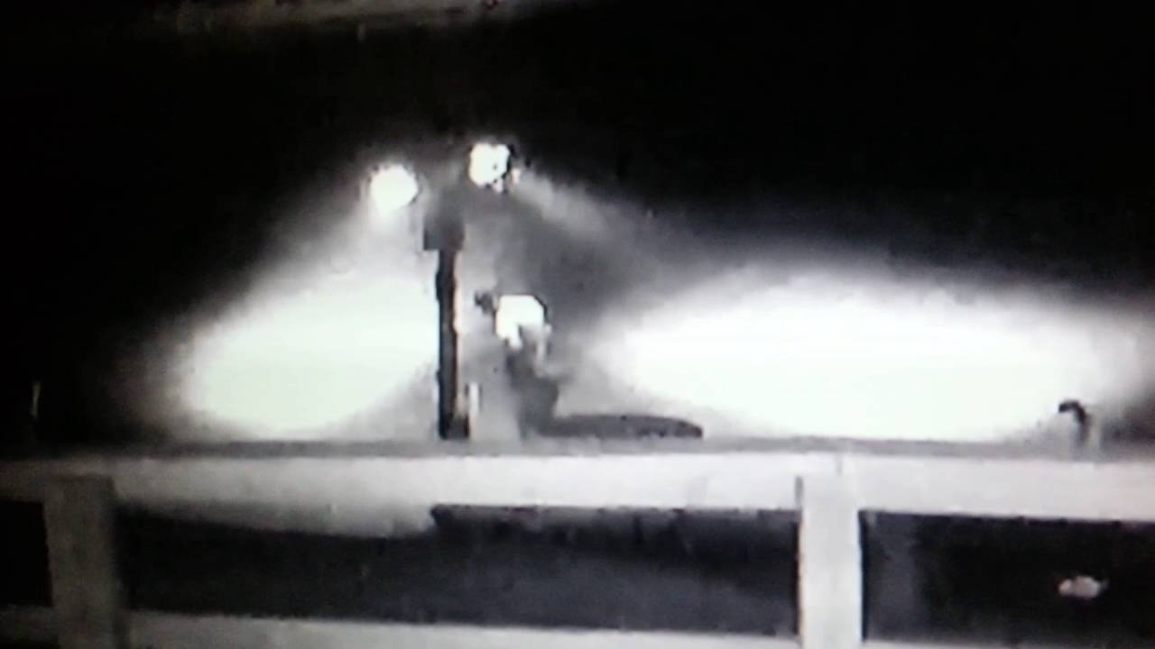 TWO TURDS STEALING - YouTube