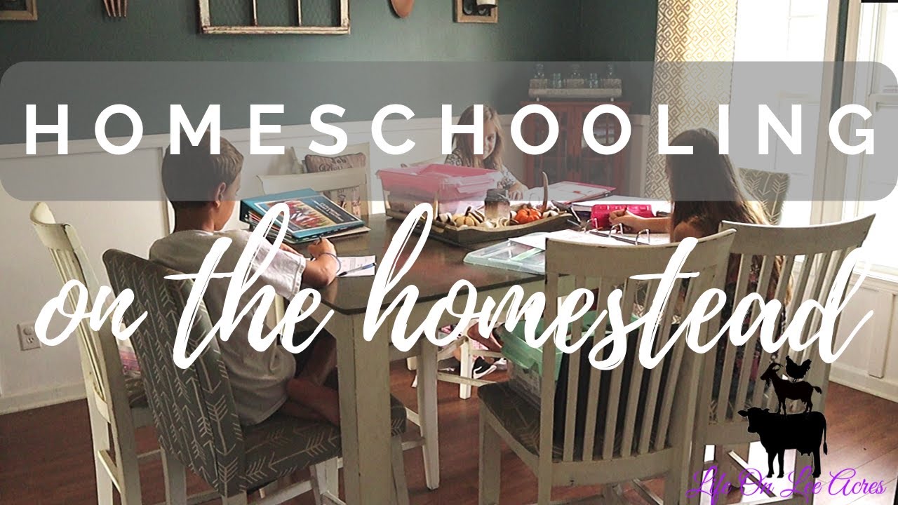 HOMESCHOOLING on the HOMESTEAD - YouTube