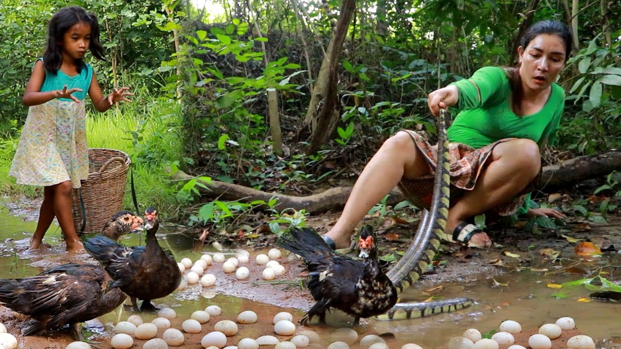 Catch duck and snake in rainforest- Boiled snake soup spicy & Cooking ...