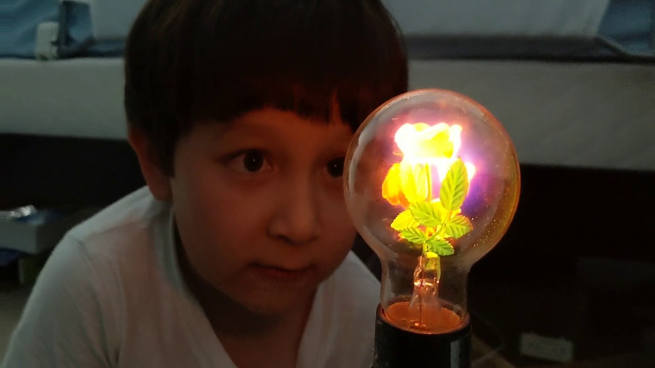 Rose lightbulb - Aerolux New York 2w designer rose light bulb - YouTube