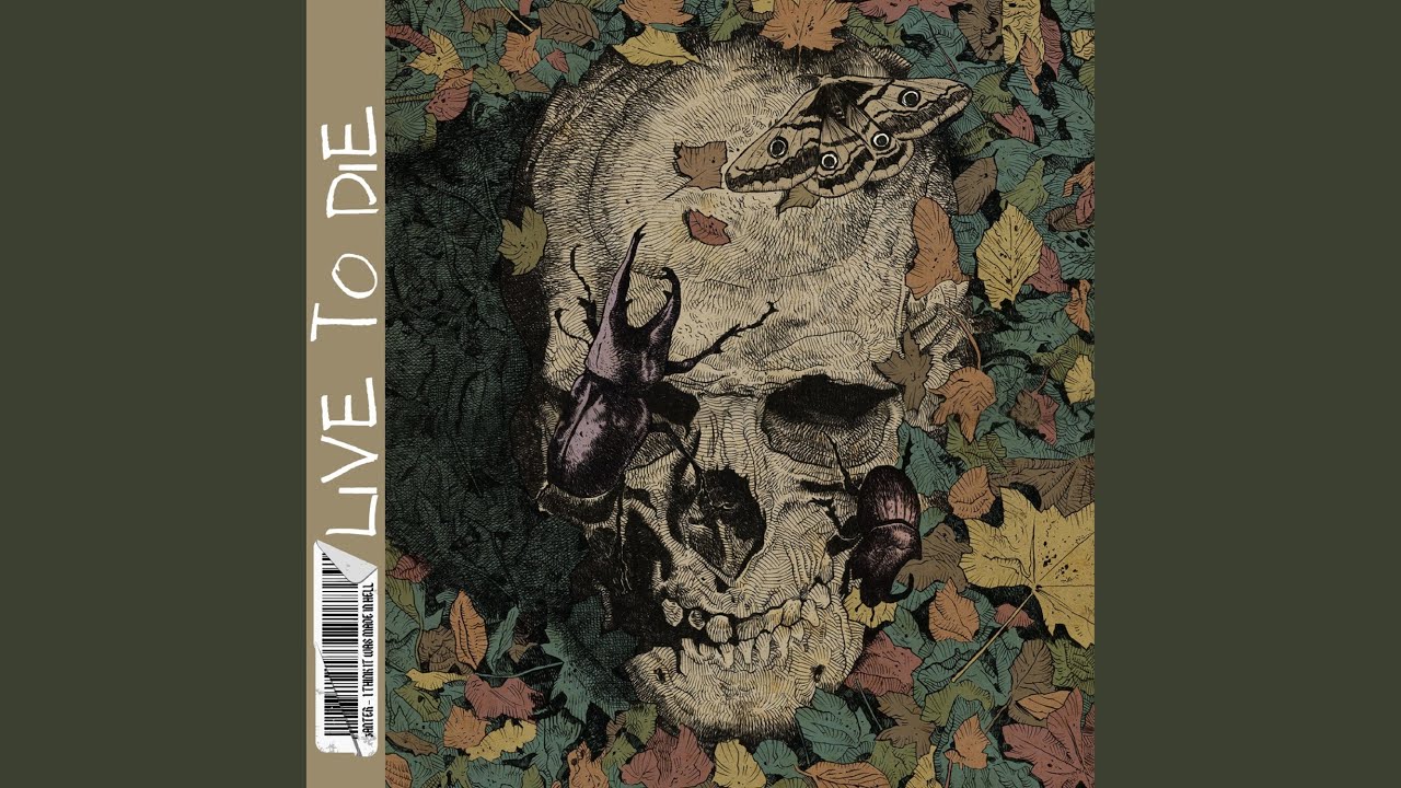 Live to Die - YouTube