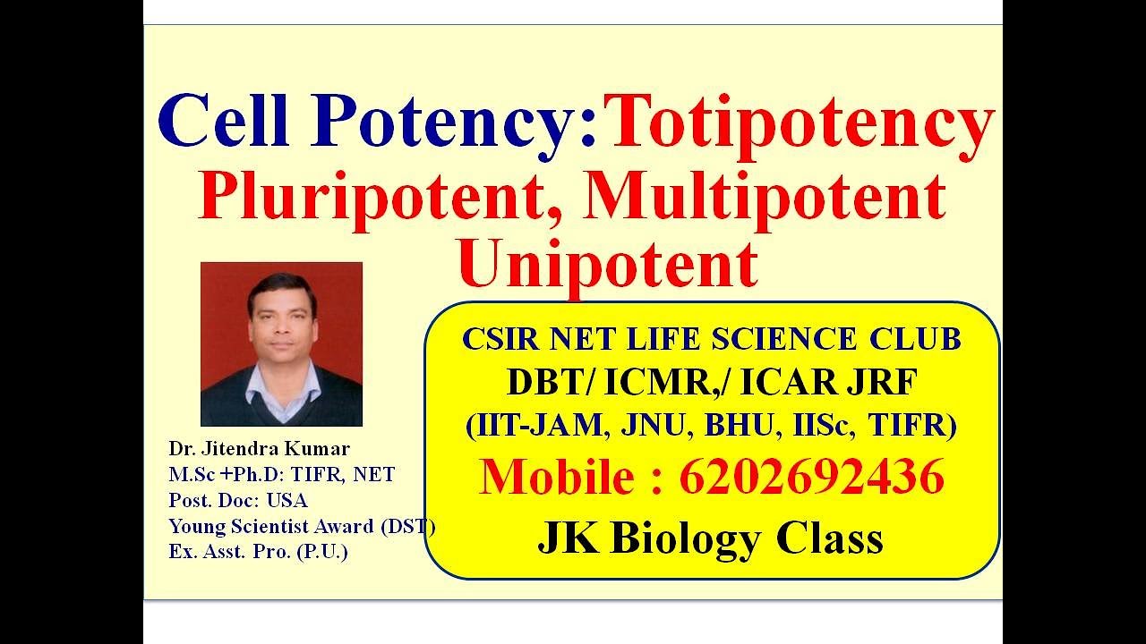 Cell Potency || Totipotency || Pluripotent || Multipotent || Unipotent ...