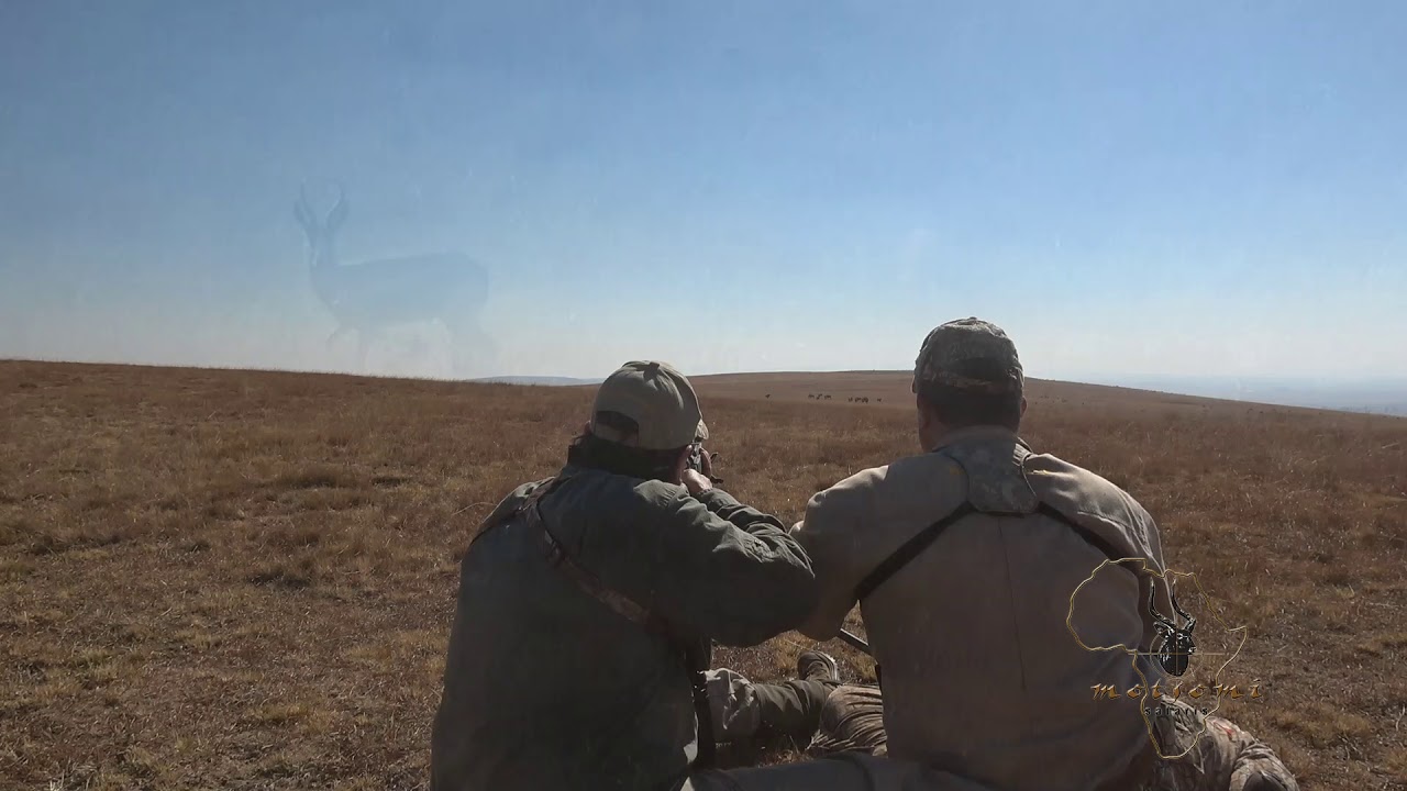 Motsomi Safaris Rifle Hunting Copper Springbuck Ludwig - YouTube
