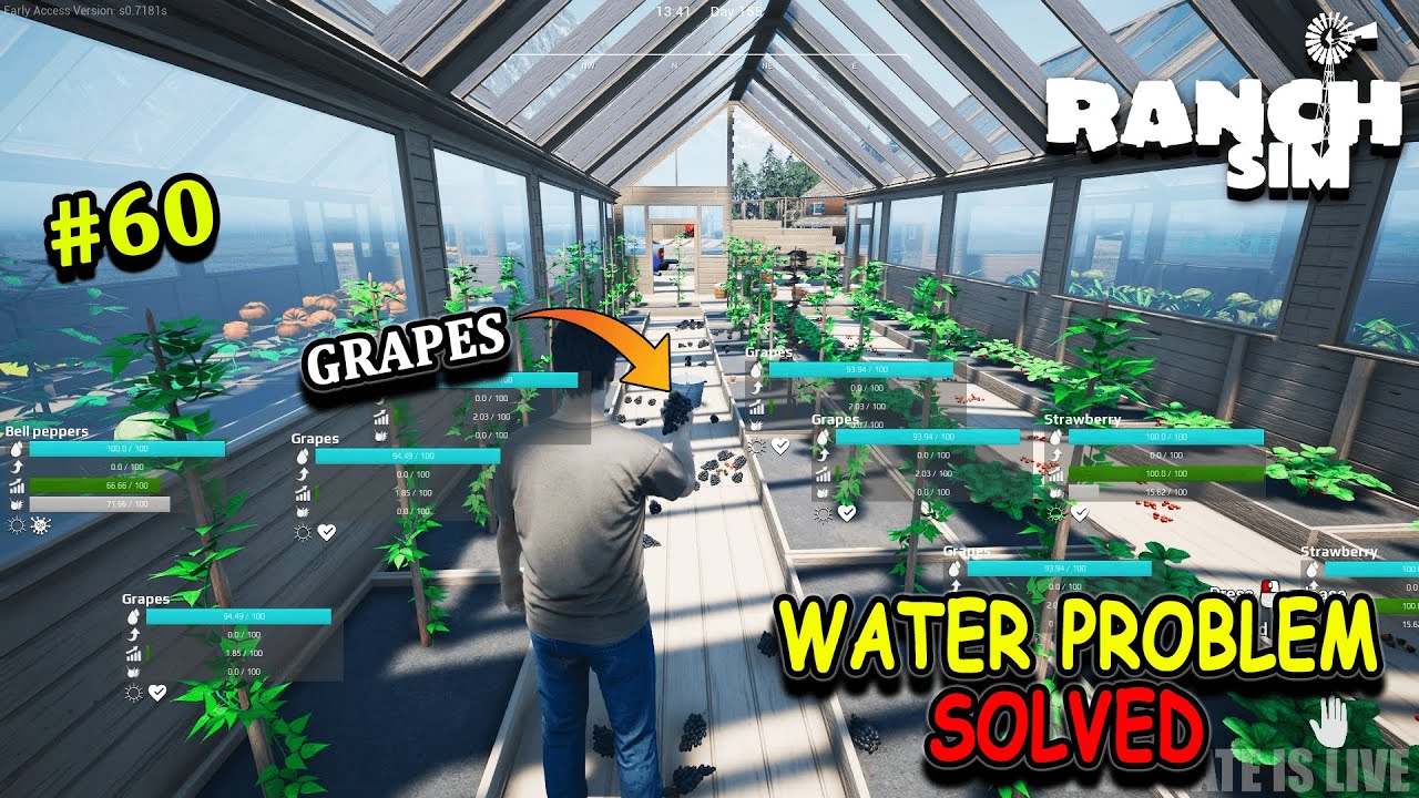 GRAPES - INSTALLED SPRINKLER SYSTEM - WATER PROBLEM SOLVED | RANCH SIMULATOR || OIL | HINDI ...