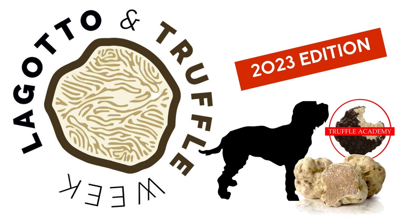 Ci incontriamo alla LAGOTTO & TRUFFLE WEEK 2023 ? - YouTube