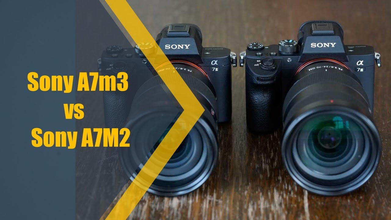 Почему я перешел на Sony A7 iii | Краткое сравнение камер Sony A7m3 и Sony A7M2. - YouTube
