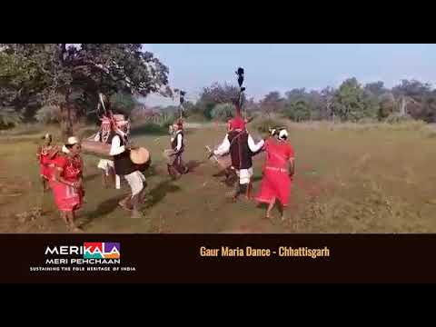 Gaur Maria Dance || Chhattisgarh || Meri Kala Meri Pehchaan - YouTube