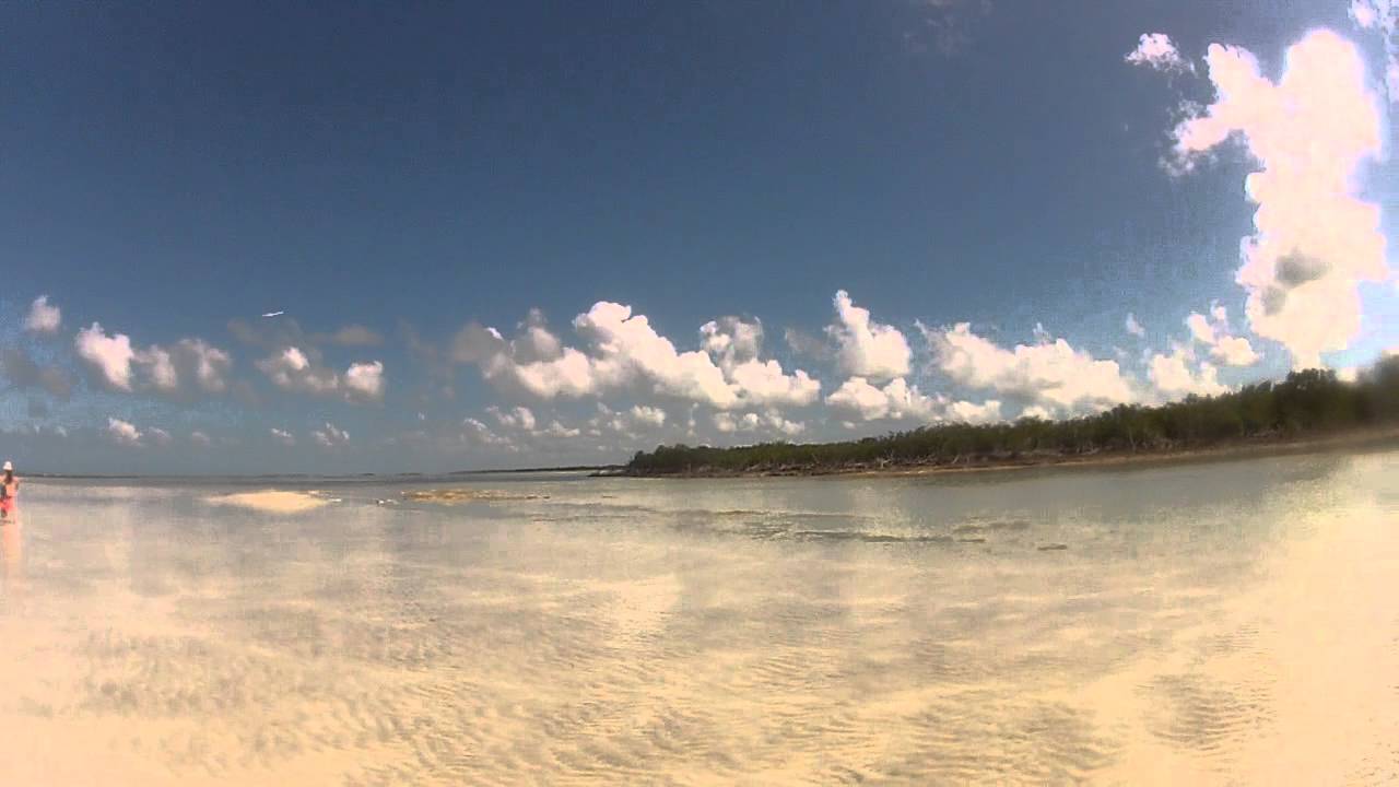 Marvin Key north reef - YouTube