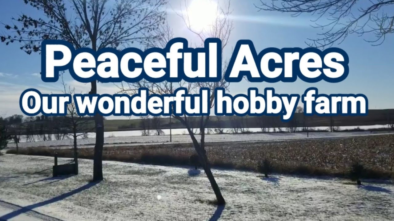 Peaceful Acres. Our wonderful hobby farm. (2018) 329 - YouTube