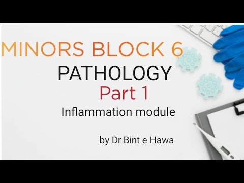 Pathology block 6 ( part 1 ) | Inflammation module| Robbins pathology ...