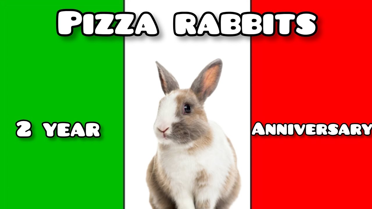 Pizza rabbits 2 year anniversary - YouTube