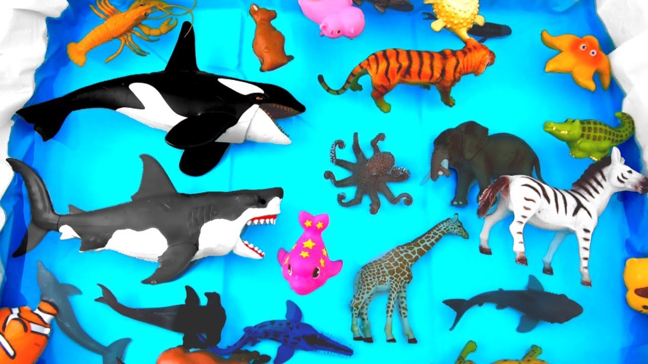 Learn Wild Zoo Animal Toys For Kids | Learning For Kids - YouTube
