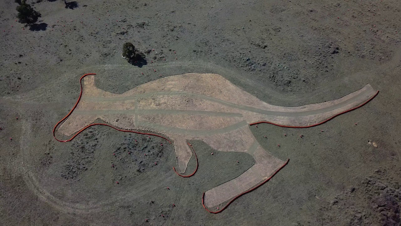 The Giant Kangaroo Coombs, Canberra ACT - YouTube